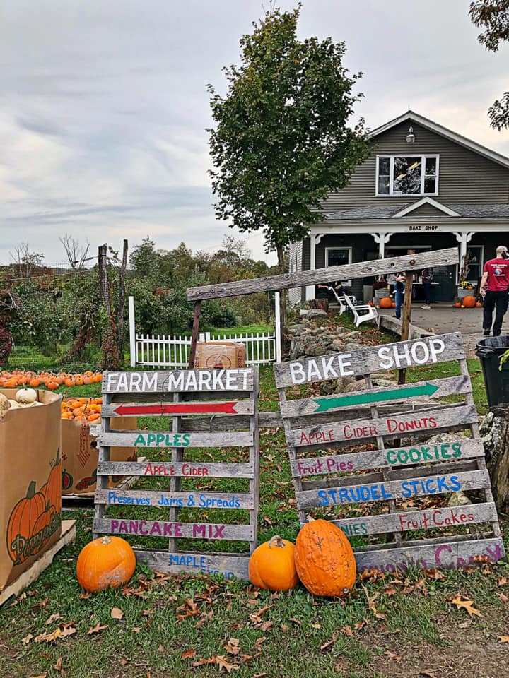 Pumpkin pickin’